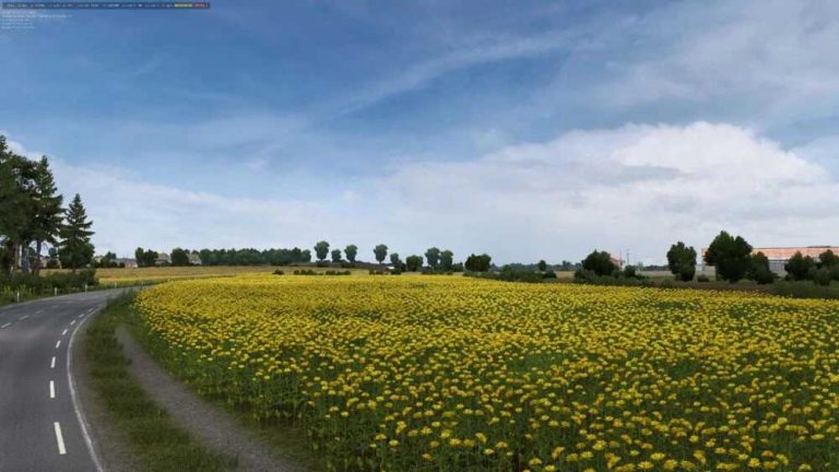 Grass Mod v2.64 [PEŁNY] - 1.46 ETS2 - ETS2 Mody | ATS Mod